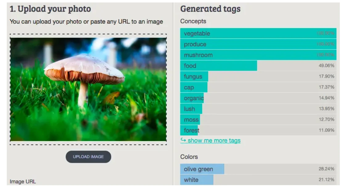 Top 6 Image Recognition Software Tools for 2025